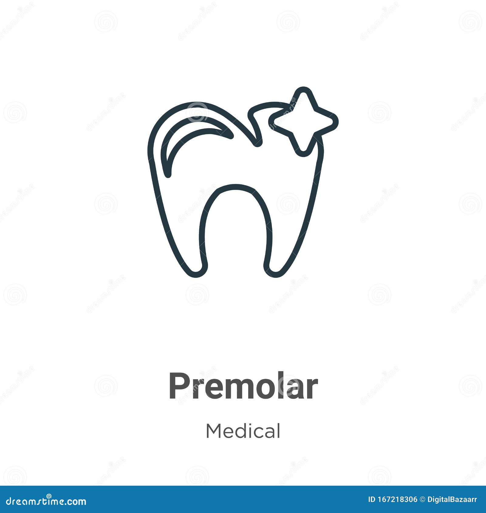 Premolar Vector Icon On White Background. Flat Vector Premolar Icon ...
