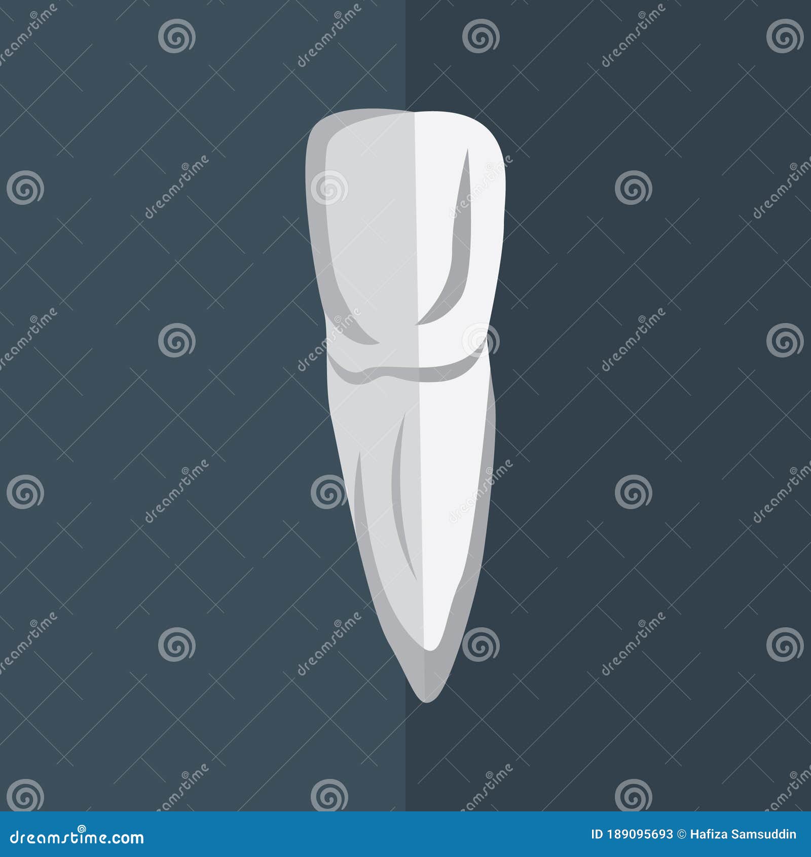 Premolar Tooth. Vector Illustration Decorative Design Stock Vector ...