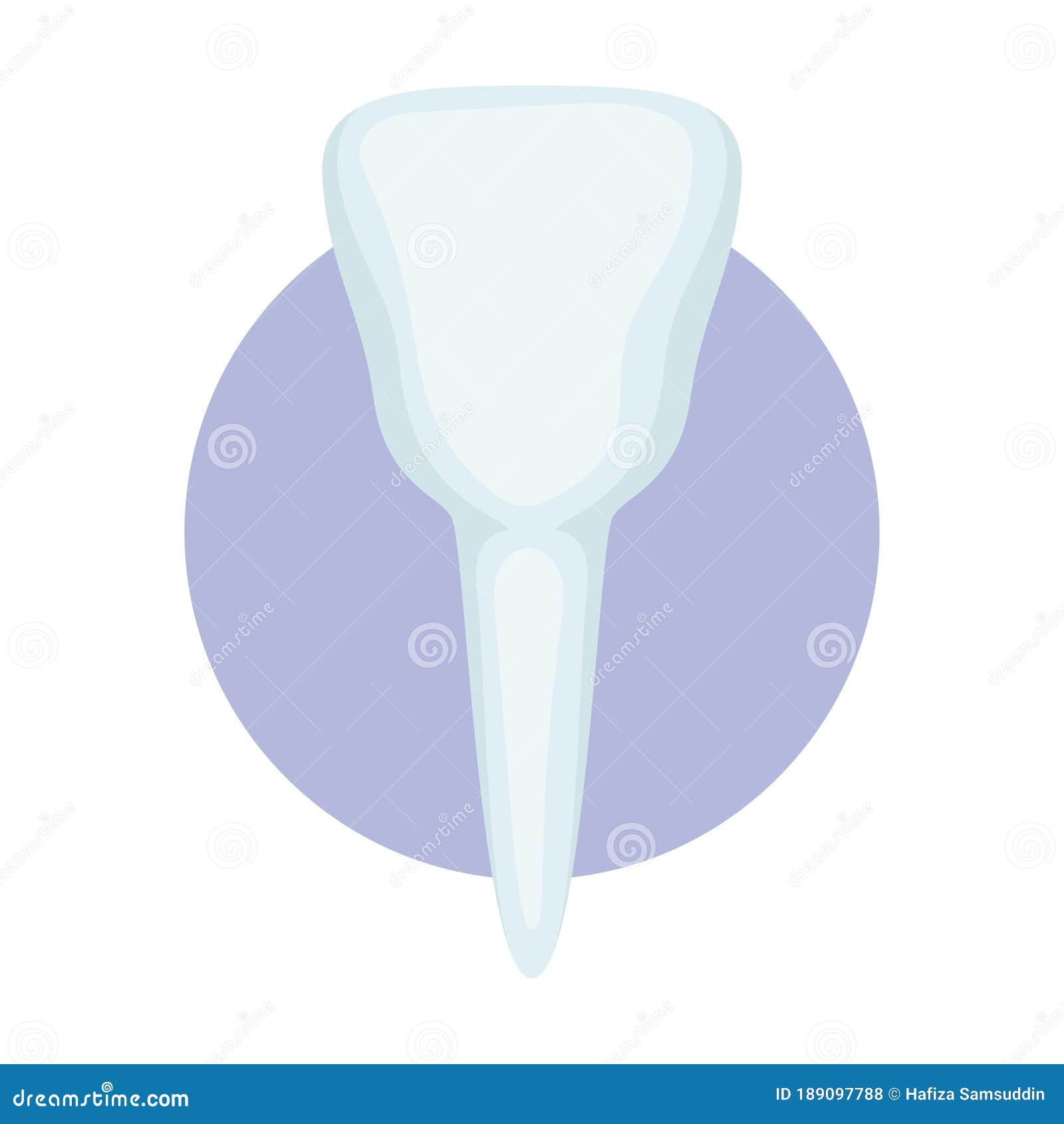Premolar Tooth. Vector Illustration Decorative Design Stock Vector ...