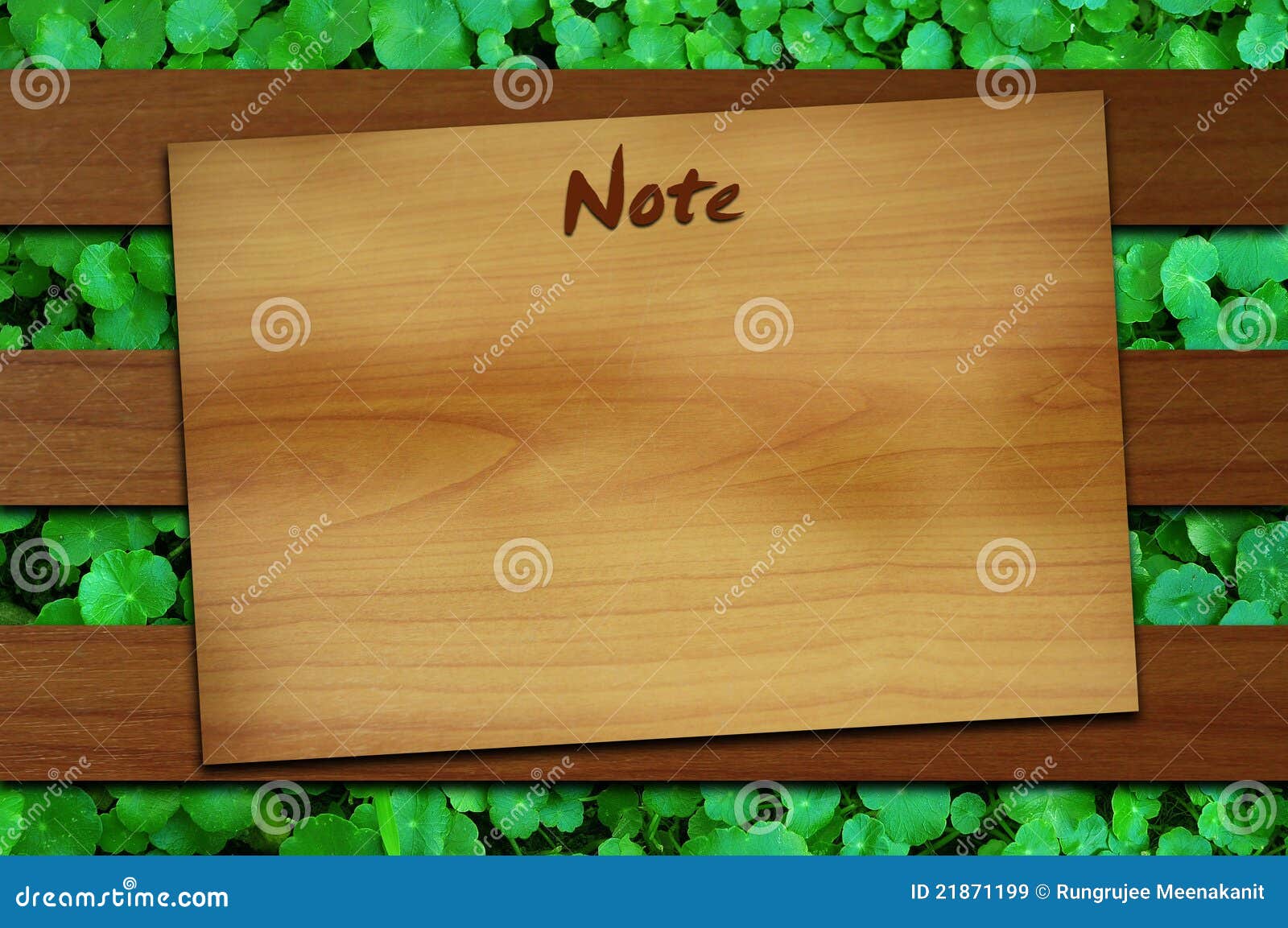 Prenez la note en nature image stock. Image du vert, texture - 21871199