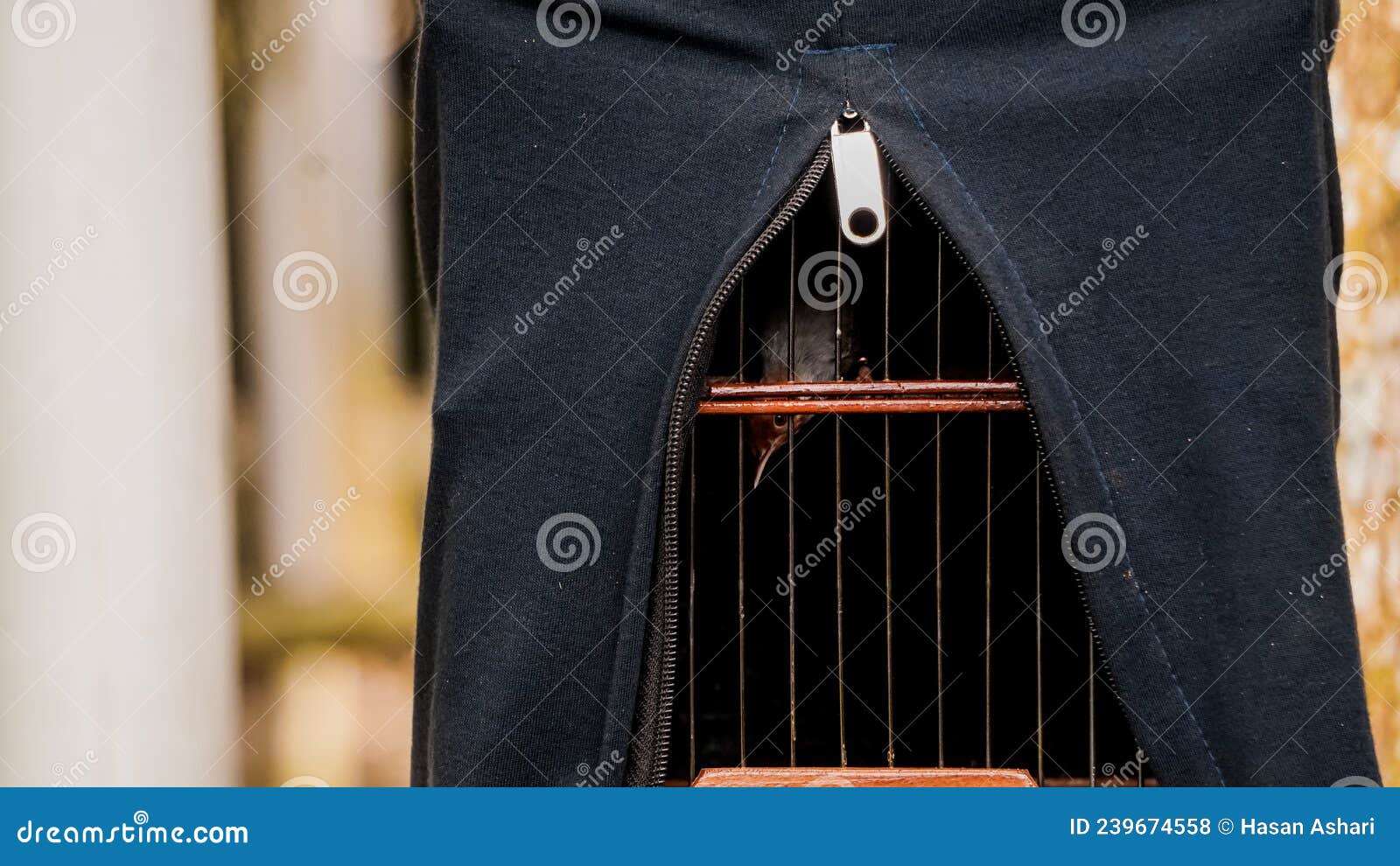 Prenjak Bird in a Cage Covered with Black Cloth Stock Photo - Image of ...