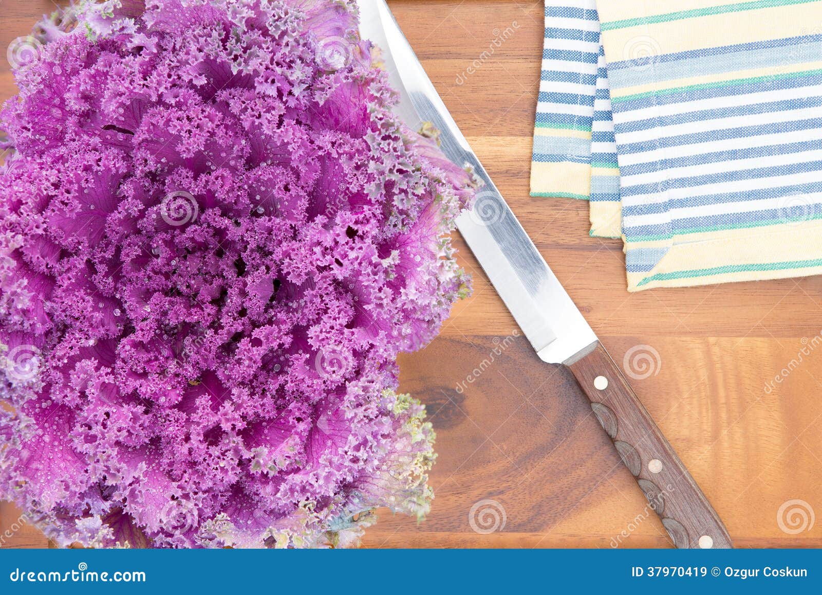 Preparando a Couve Roxa Para Cozinhar Imagem de Stock - Imagem de ...