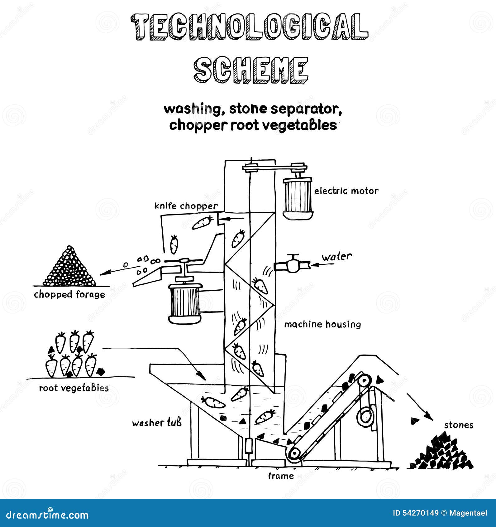 Preparation of animal feed stock vector. Illustration of root - 54270149
