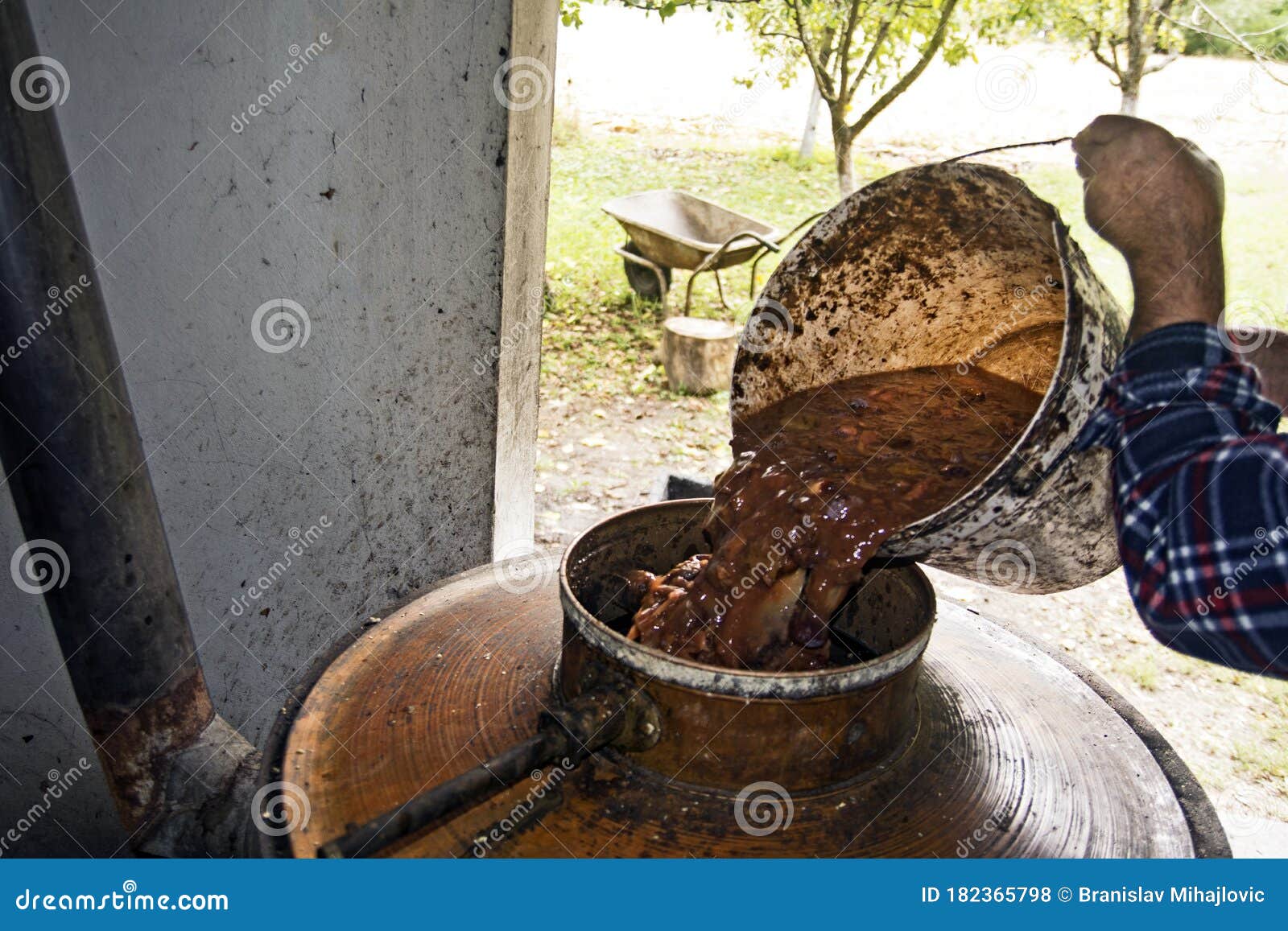 Wheat Distiller Pellets Royalty-Free Stock Image | CartoonDealer.com ...