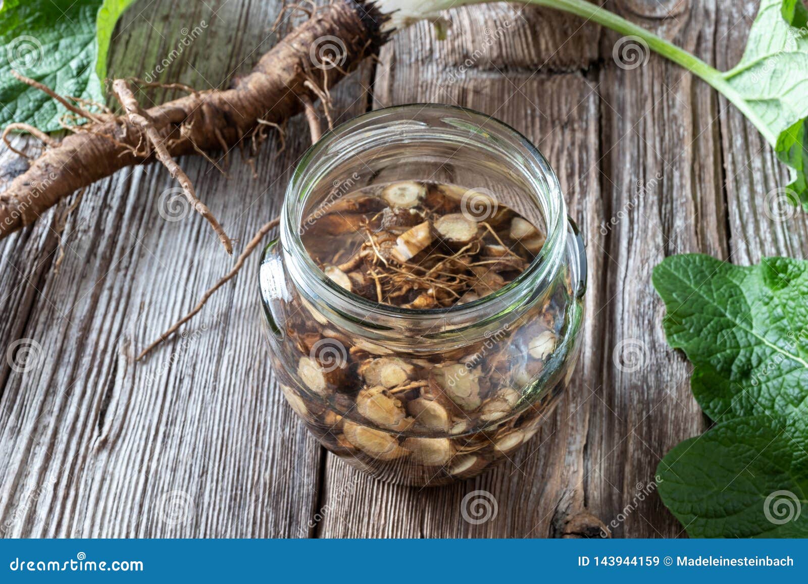 Preparation of Burdock Tincture from Fresh Roots Stock Image - Image of ...