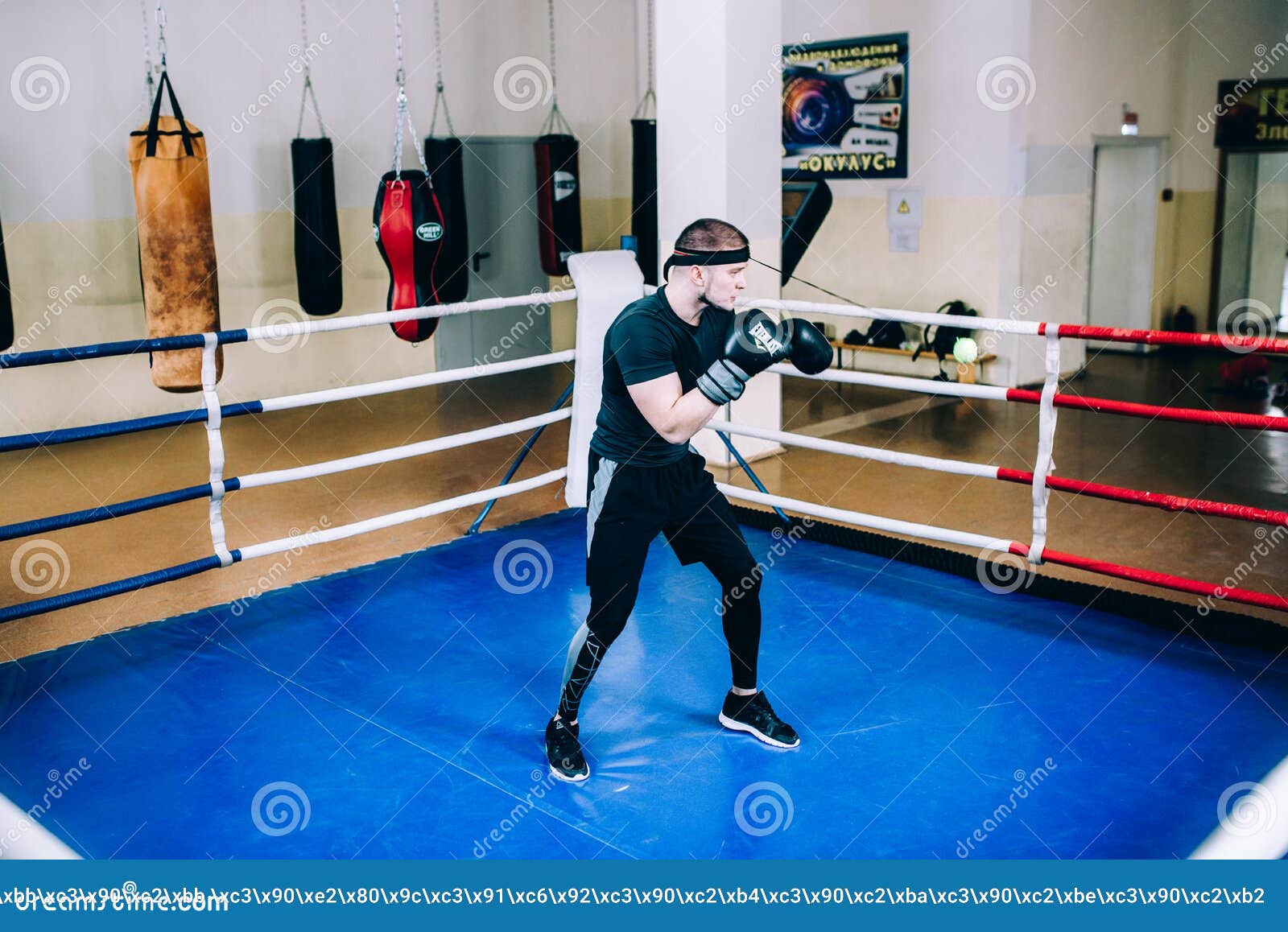 Preparation for Competitions Boxing Editorial Photo - Image of young ...