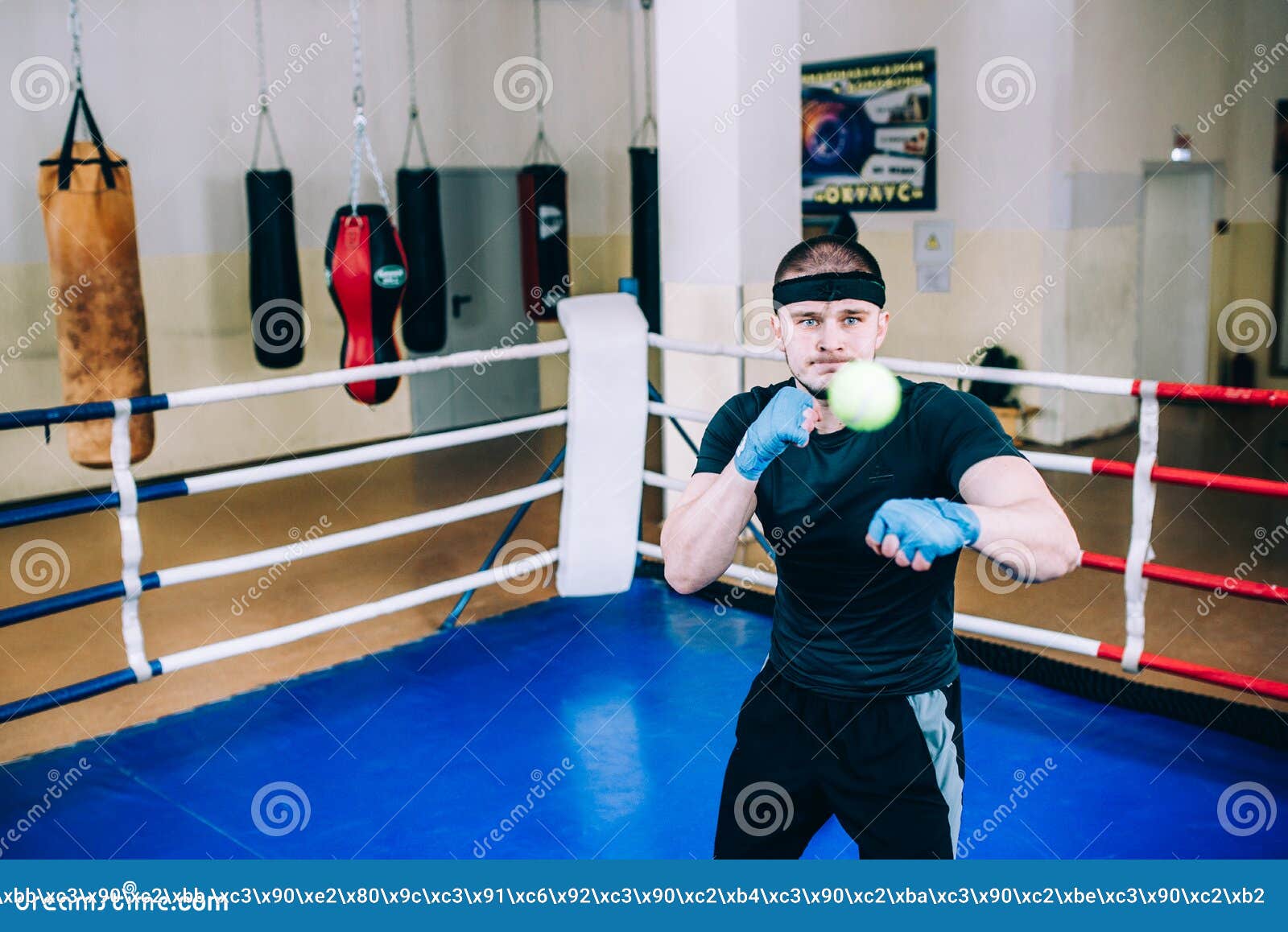 Preparation for Competitions Boxing Editorial Image - Image of young ...