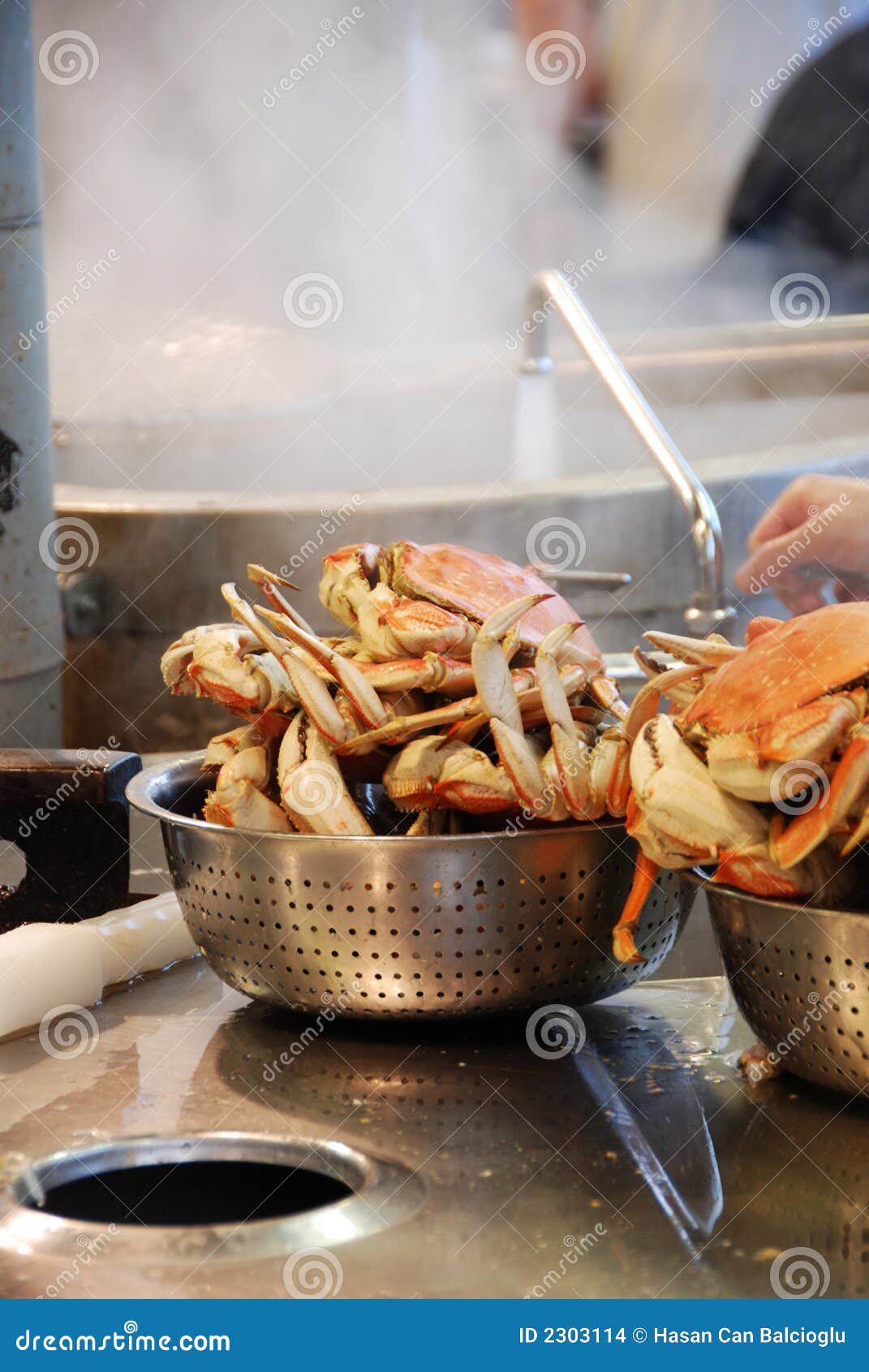 Preparation of Crab at the Fis Stock Photo - Image of shell, dungeness ...