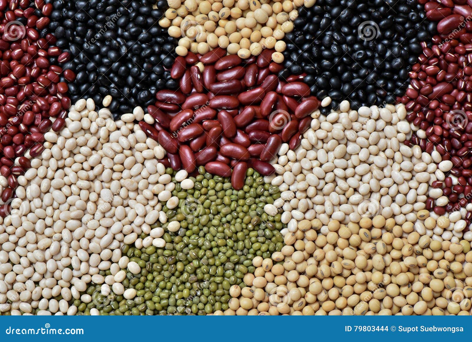 Preparation Different Legumes Organic Stock Photo - Image of legumes ...