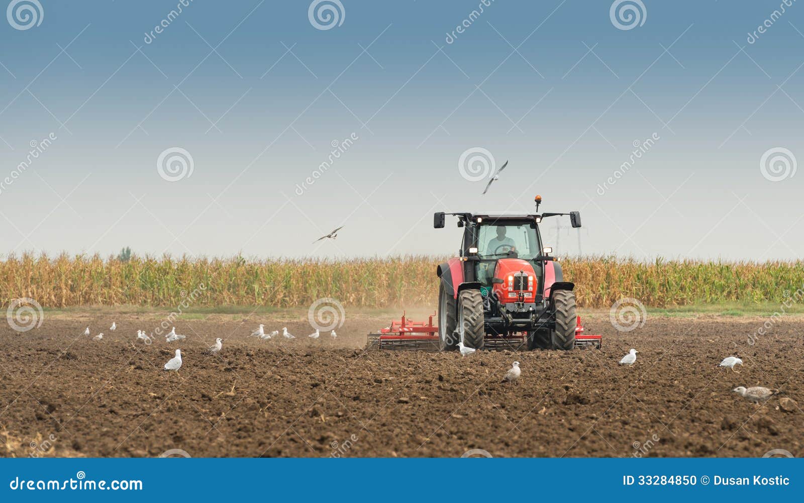 Preparation in the fields stock photo. Image of farm - 33284850