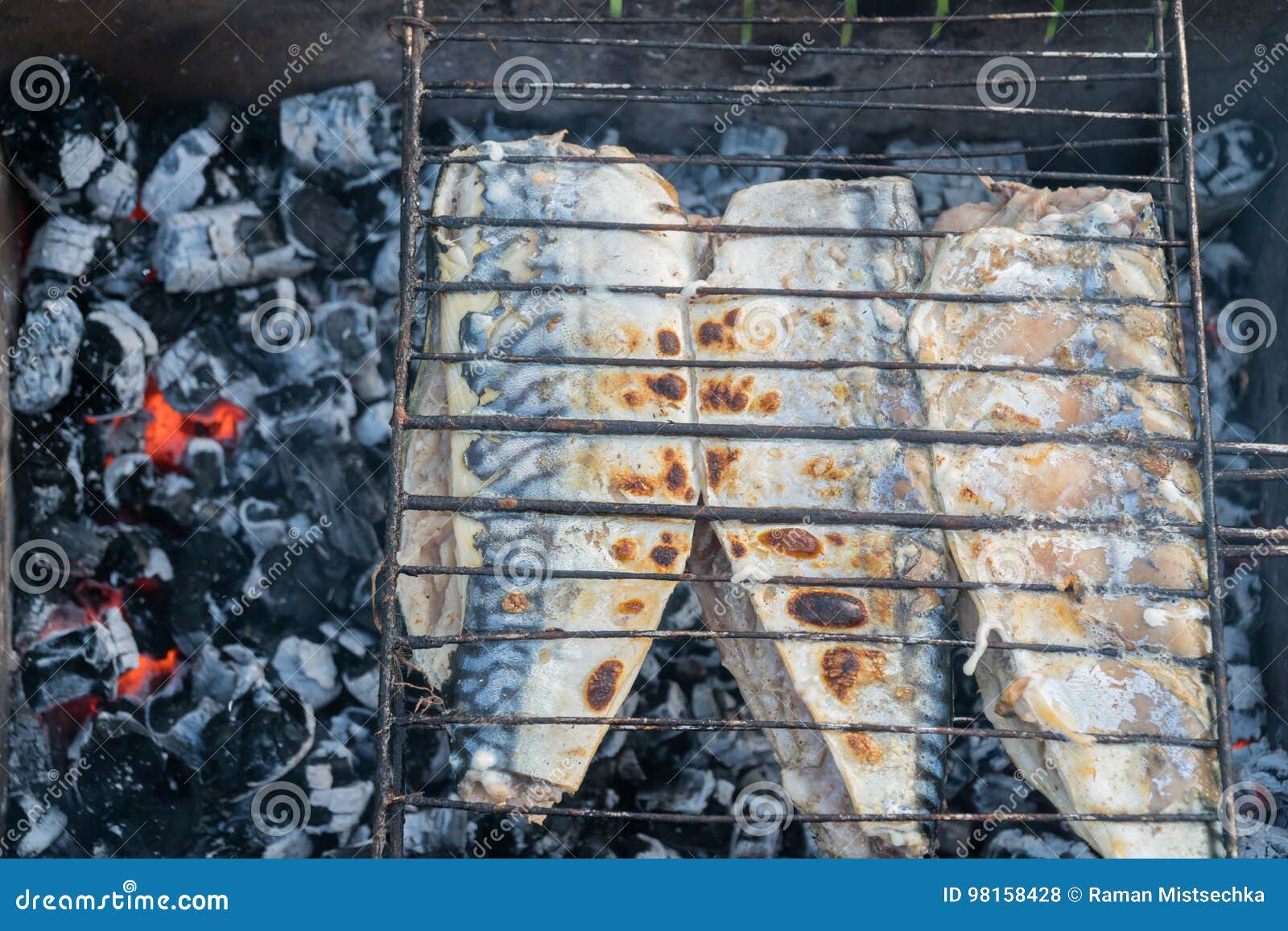 Preparation of Fish on the Grill. the Smoldering of Coals Stock Photo ...