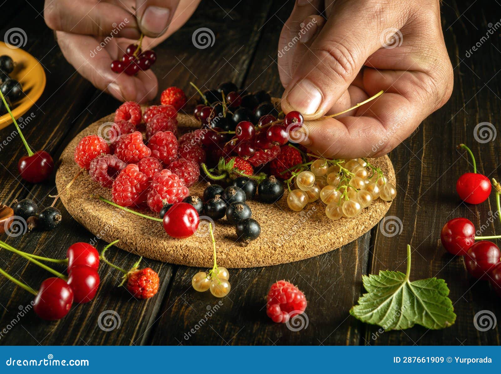 Preparation of a Fruit Drink. Male Hands are Sorting Ripe Berries ...
