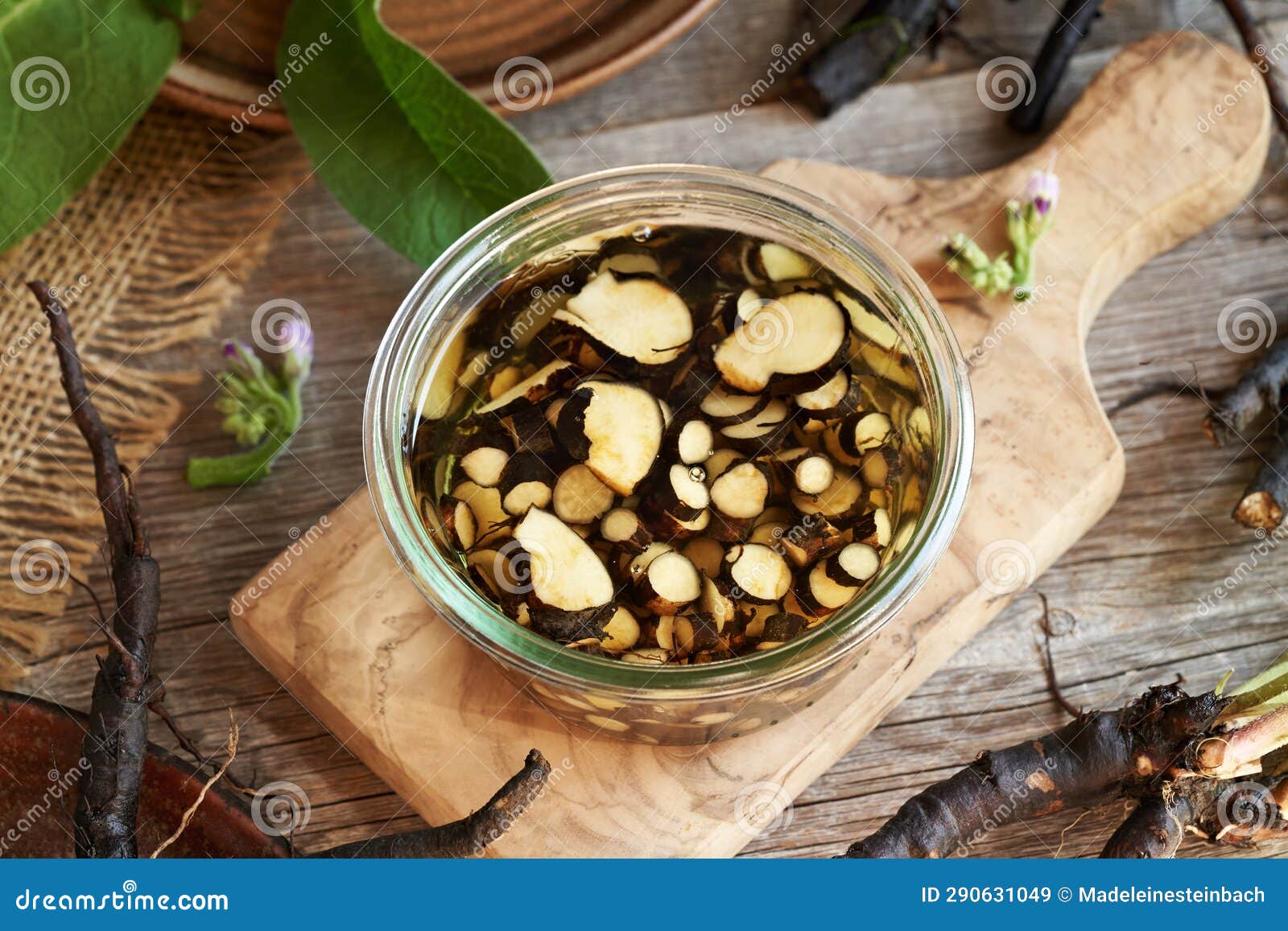 Preparation of Herbal Tincture from Fresh Comfrey of Symphytum Root ...