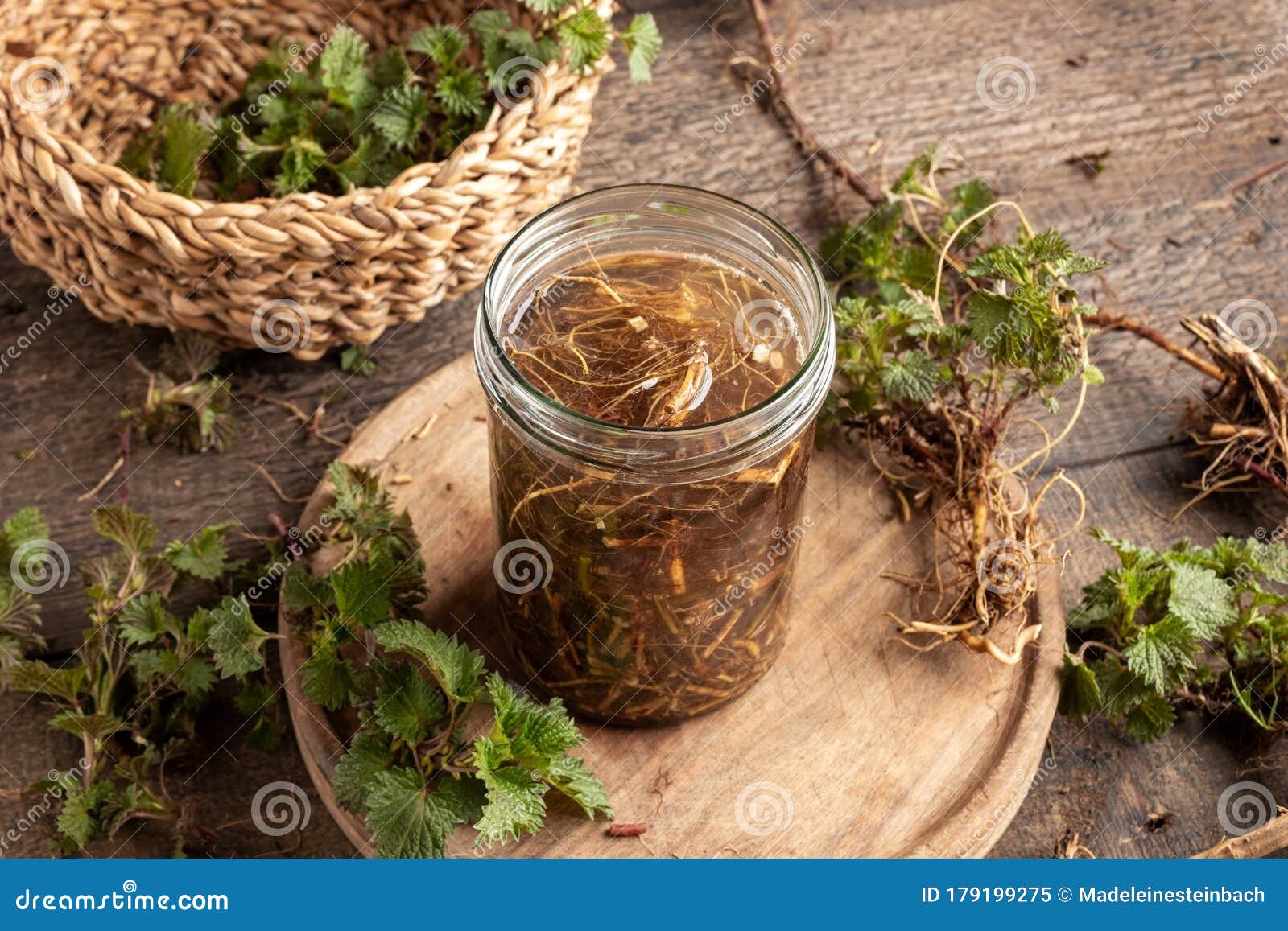 Preparation of Herbal Tincture from Fresh Nettle Root in Spring Stock ...