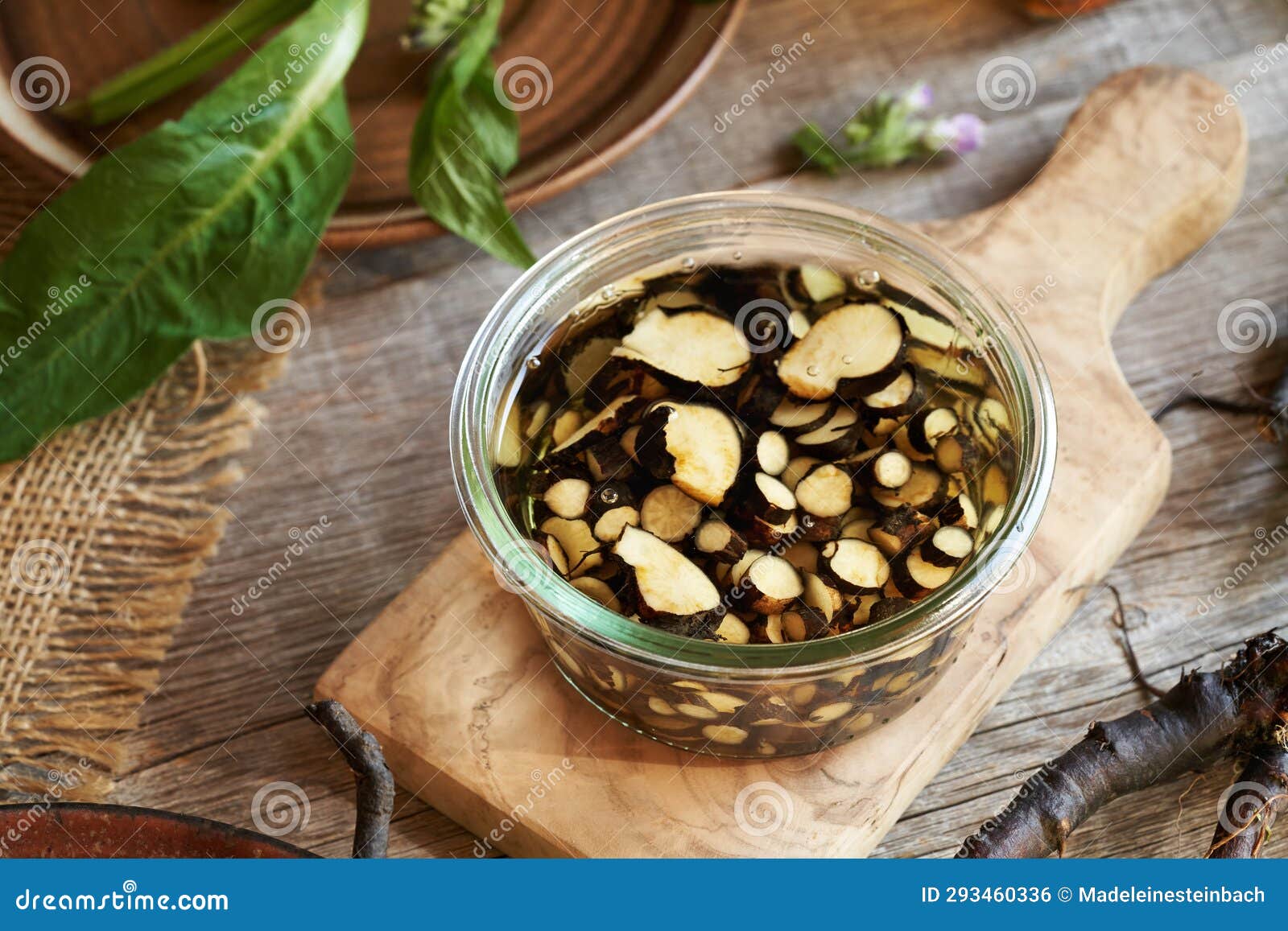 Preparation of Herbal Tincture from Sliced Fresh Comfrey Root Stock ...