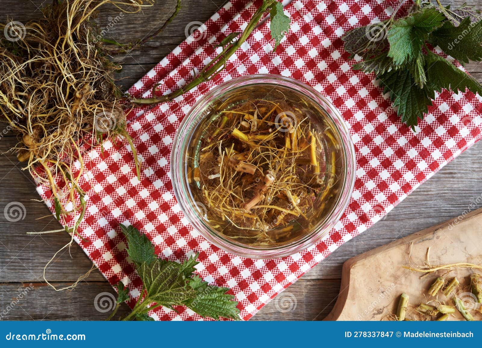 Preparation of Homemade Tincture from Fresh Nettle Root Stock Image ...