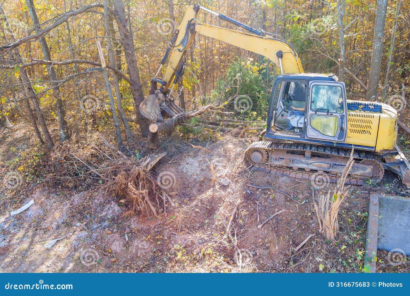 Preparation Land for Construction of House, Uprooted Trees Using a ...