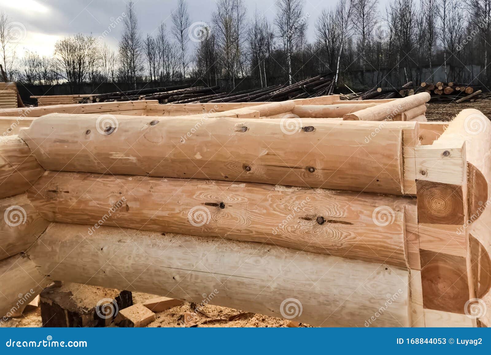 Preparation of Logs for the Assembly of Structure. Materials for Stock ...