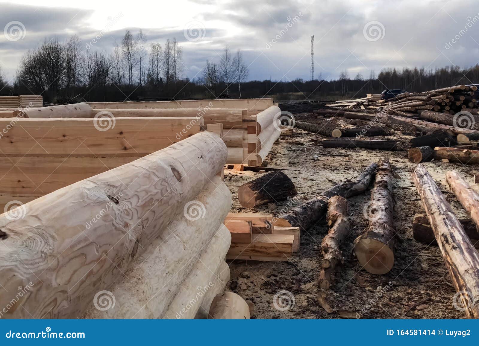 Preparation of Logs for the Assembly of Structure. Materials for Stock ...