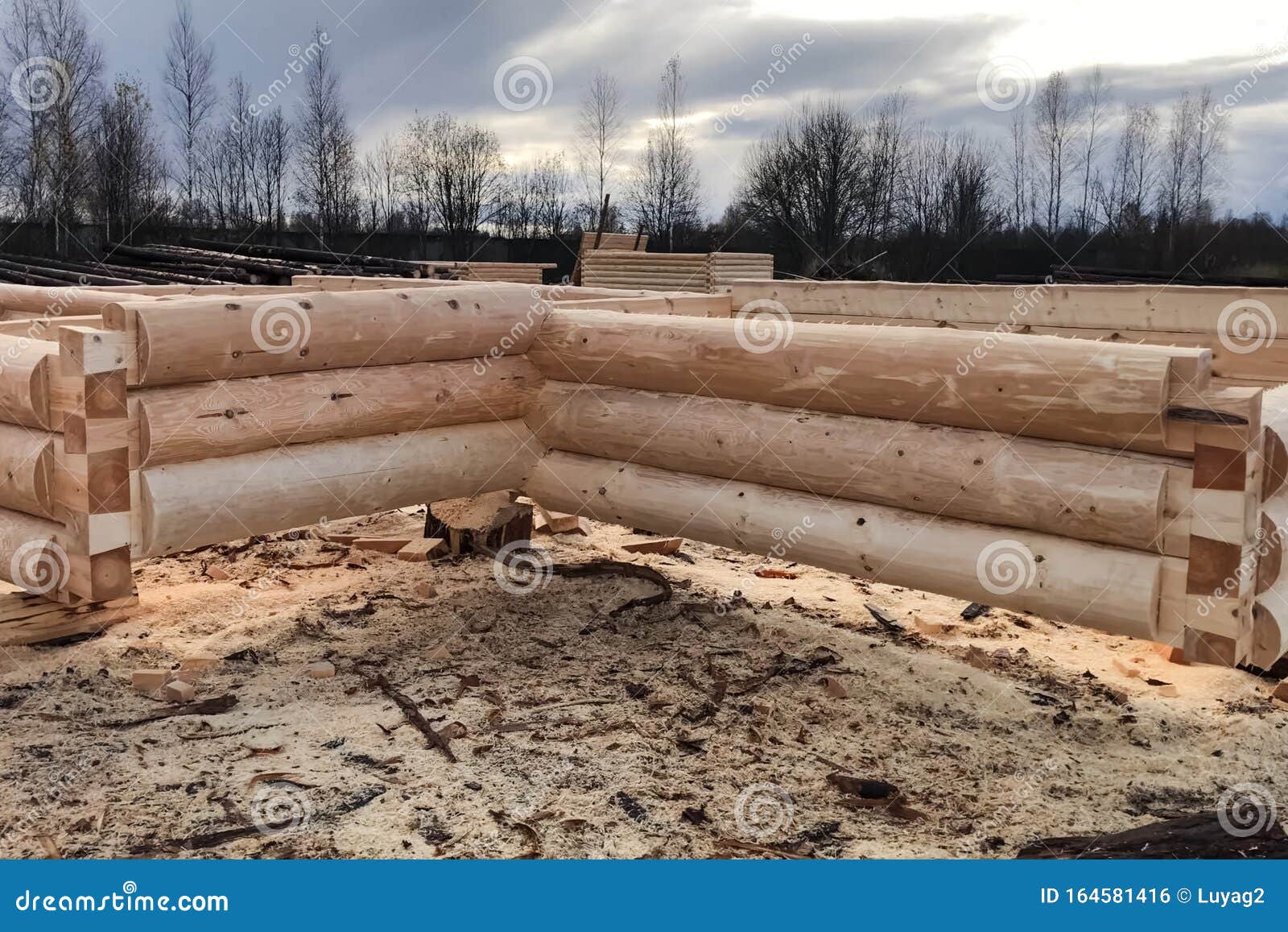 Preparation of Logs for the Assembly of Structure. Materials for Stock ...