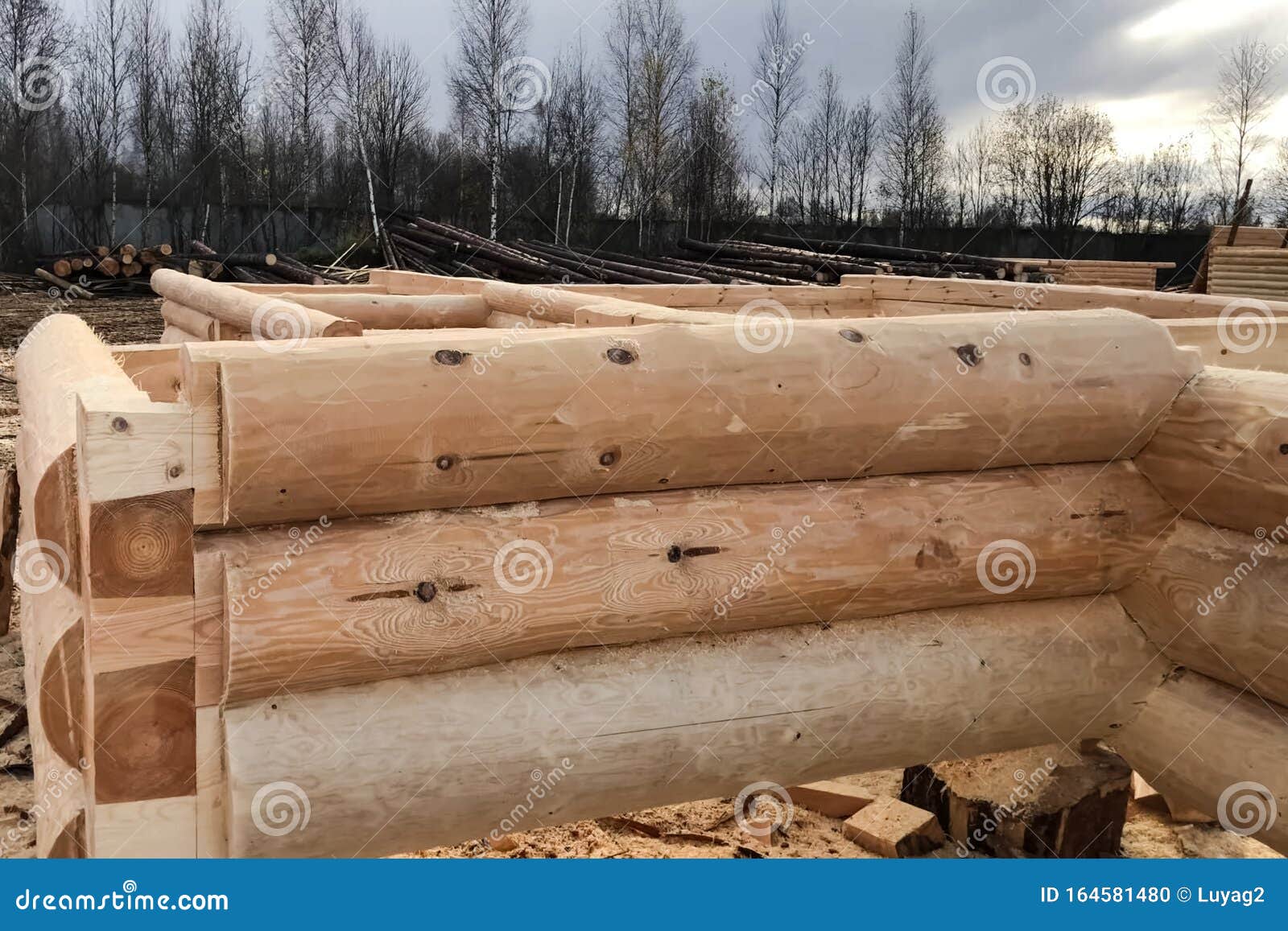 Preparation of Logs for the Assembly of Structure. Materials for Stock ...