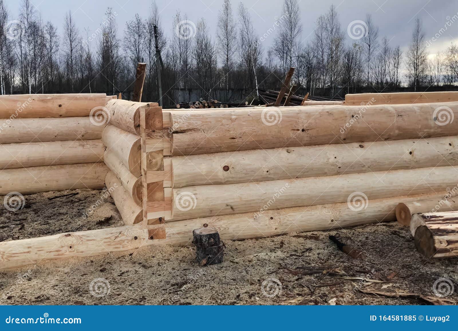Preparation of Logs for the Assembly of Structure. Materials for Stock ...