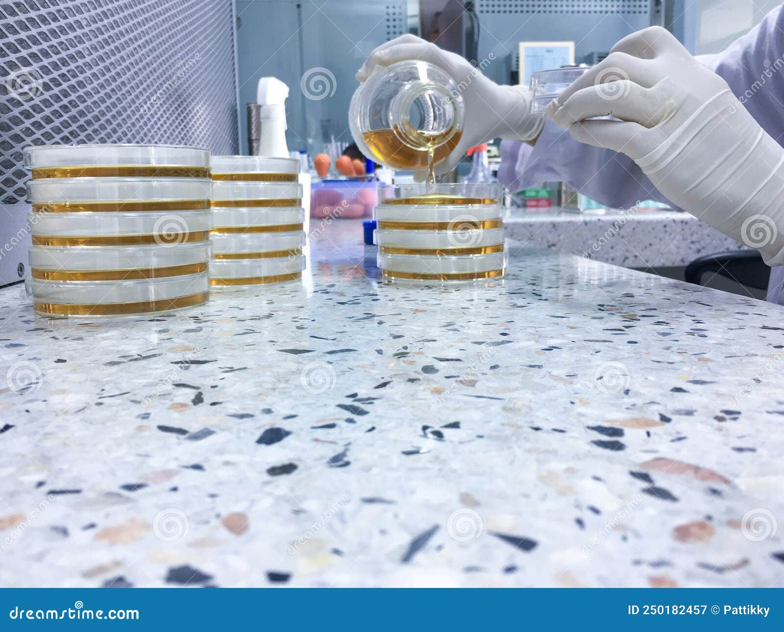 Preparation of Medium for Determination Bacteria. Stock Image - Image ...