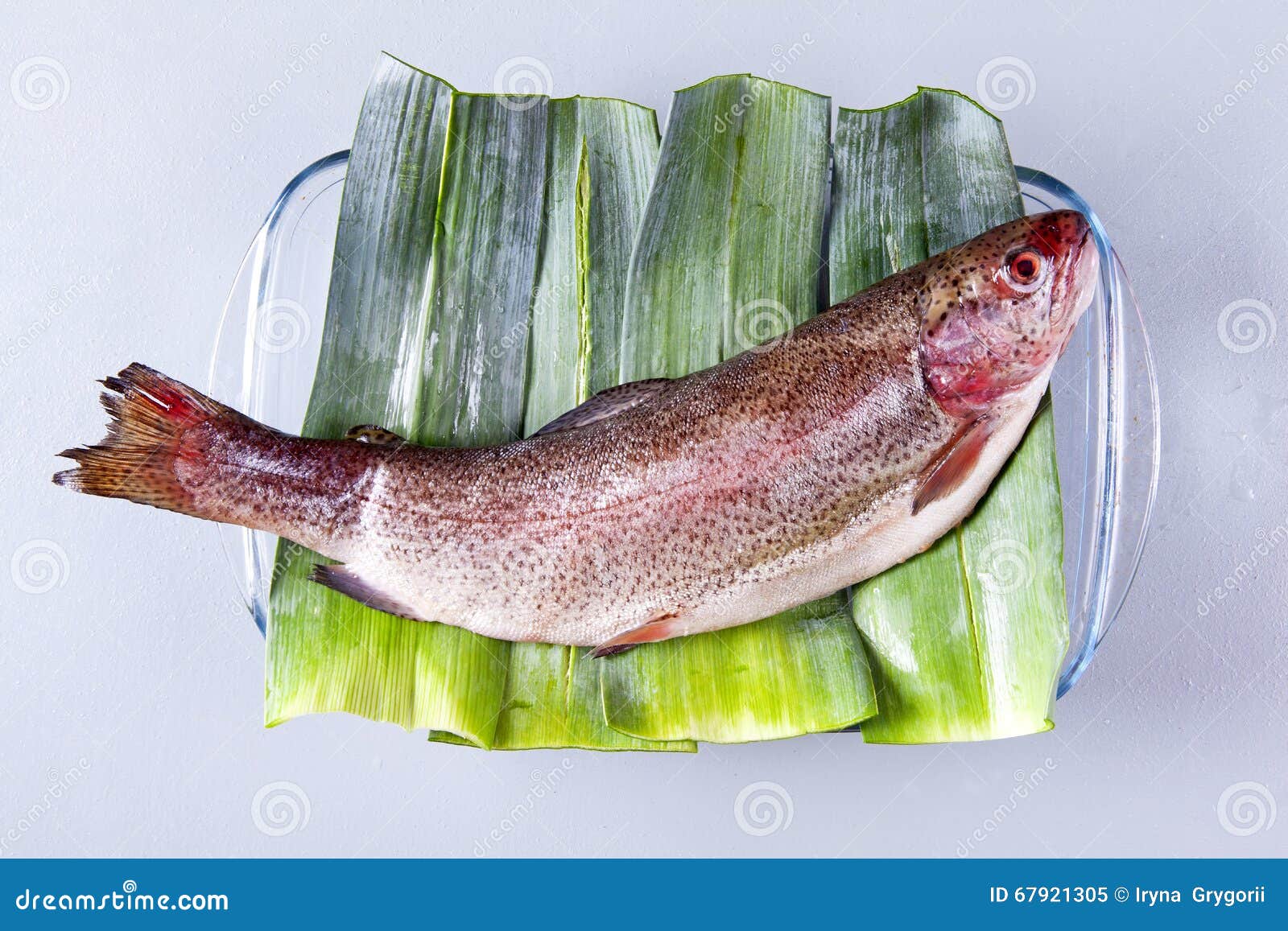 Preparation of Raw Fish with Leek Stock Image - Image of fishing ...