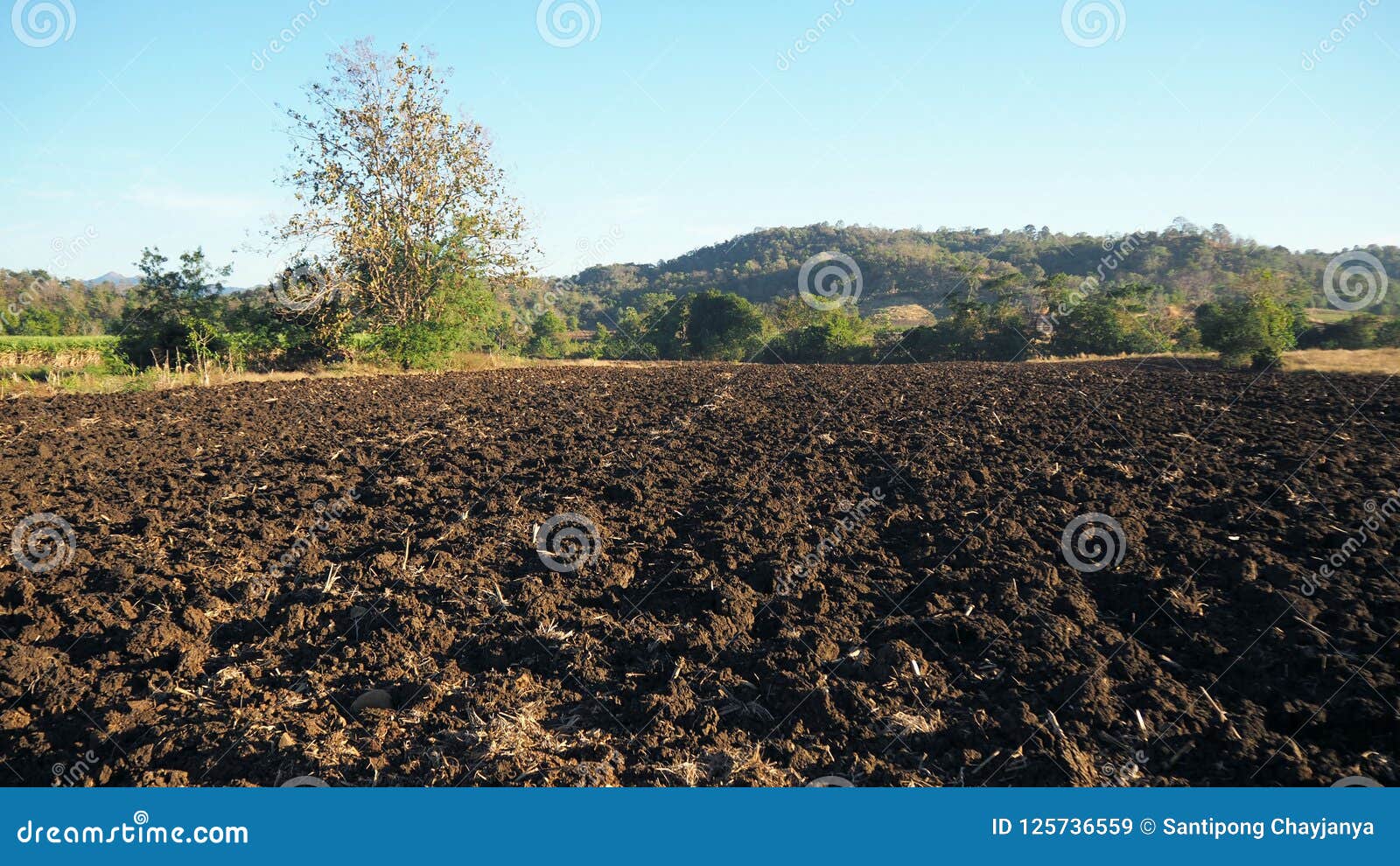 Preparation of Soil for Agriculture in Rural Areas. Stock Image - Image ...