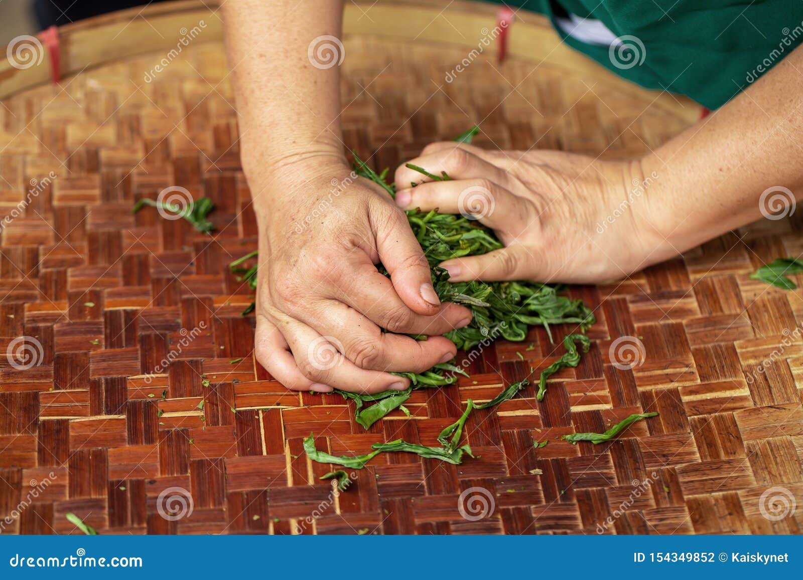 Preparation of Tea Leaves before Drying by Hand Stock Photo - Image of ...
