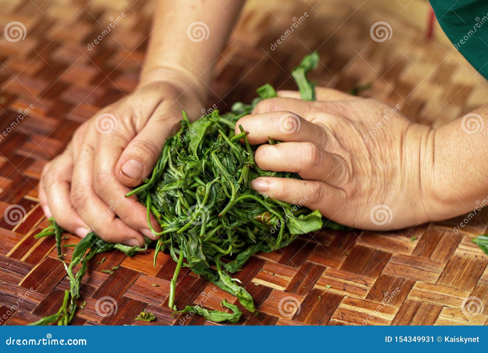 Preparation of Tea Leaves before Drying by Hand Stock Image - Image of ...