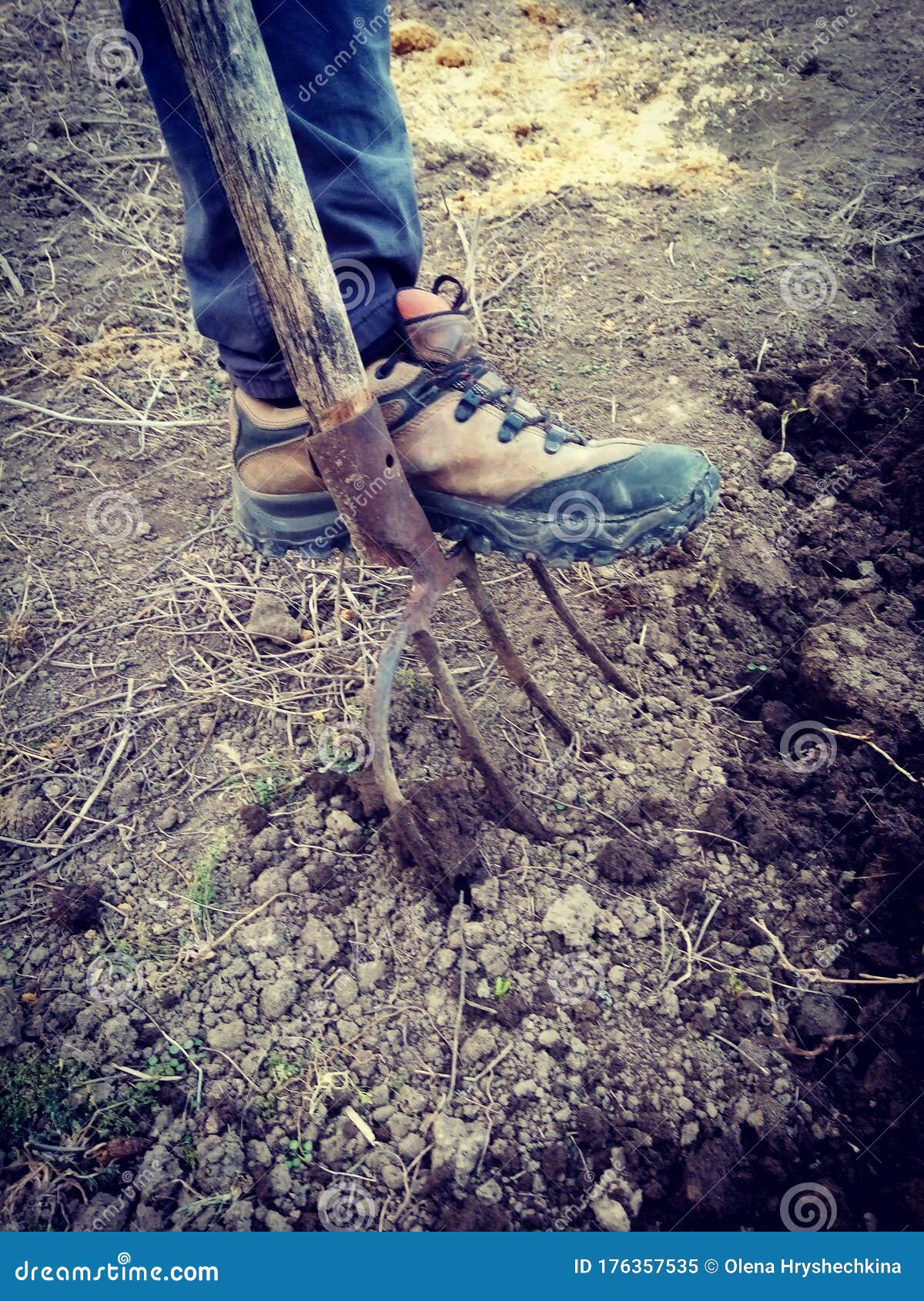 Preparatory Work on the Ground Stock Image - Image of preparatory ...