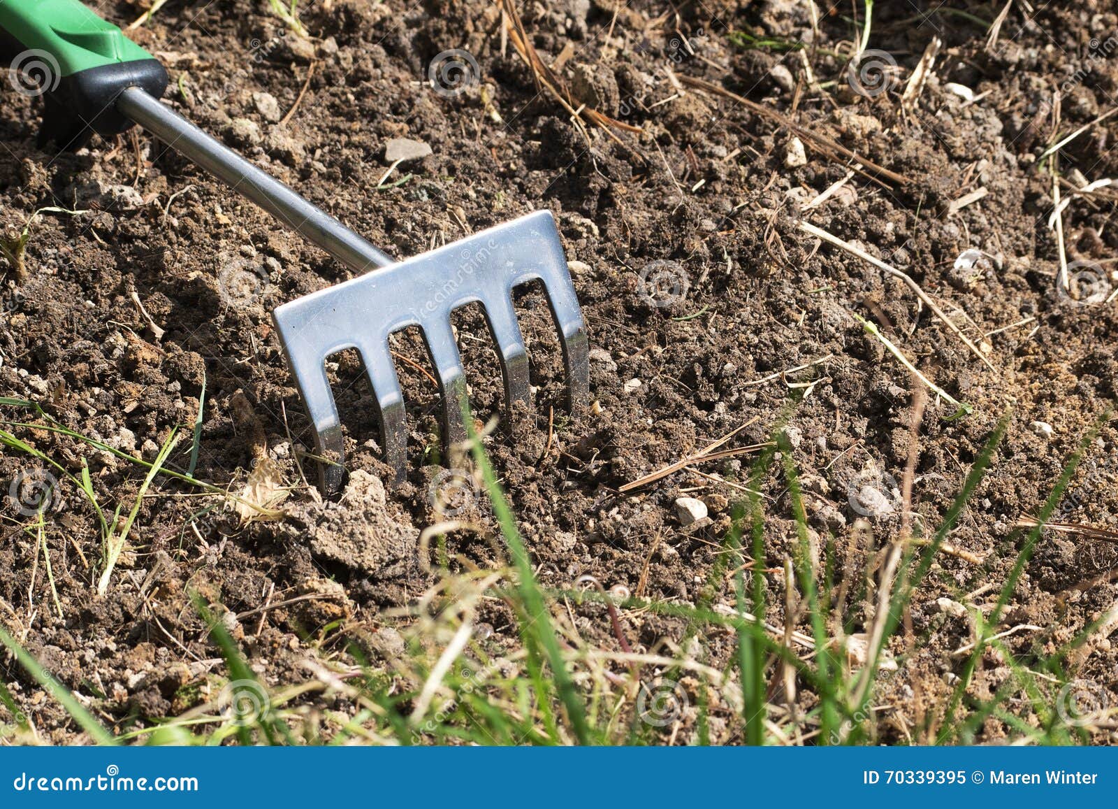 Prepare a Beet for Planting, Small Rake in the Soil Stock Image - Image ...