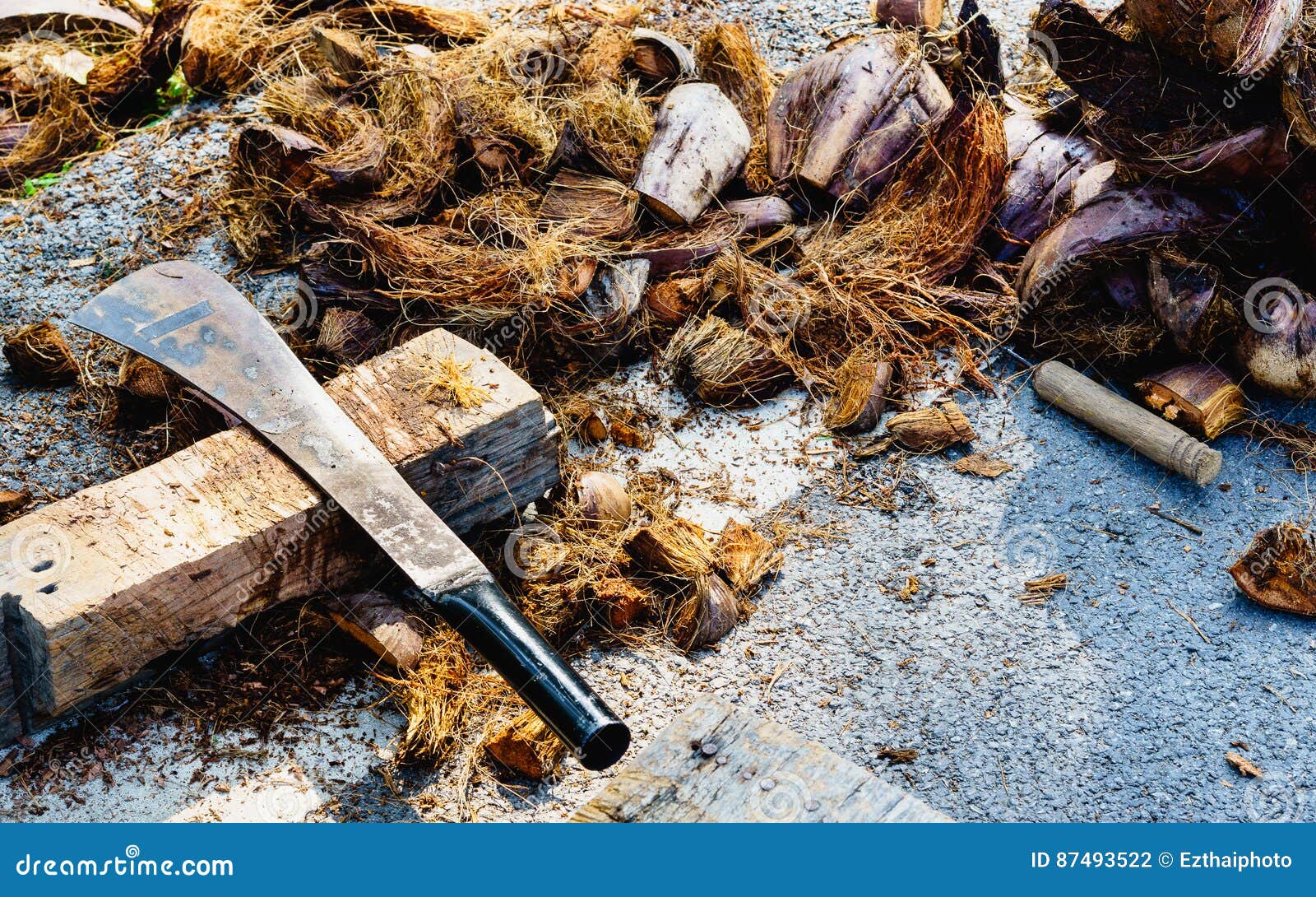 Prepare the Compost Pile Using the Coconut Coir Husk for Grow Th Stock ...