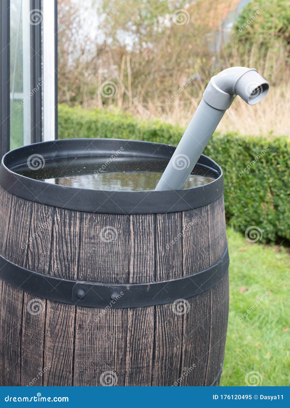 Prepare the Garden for Summer. the Rain Pipe Has Fallen into the Water ...