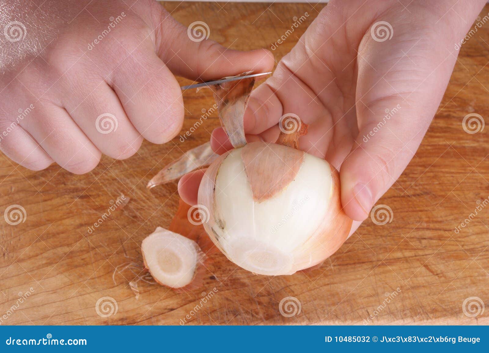 Prepare onion , stock photo. Image of taste, hand, fine - 10485032