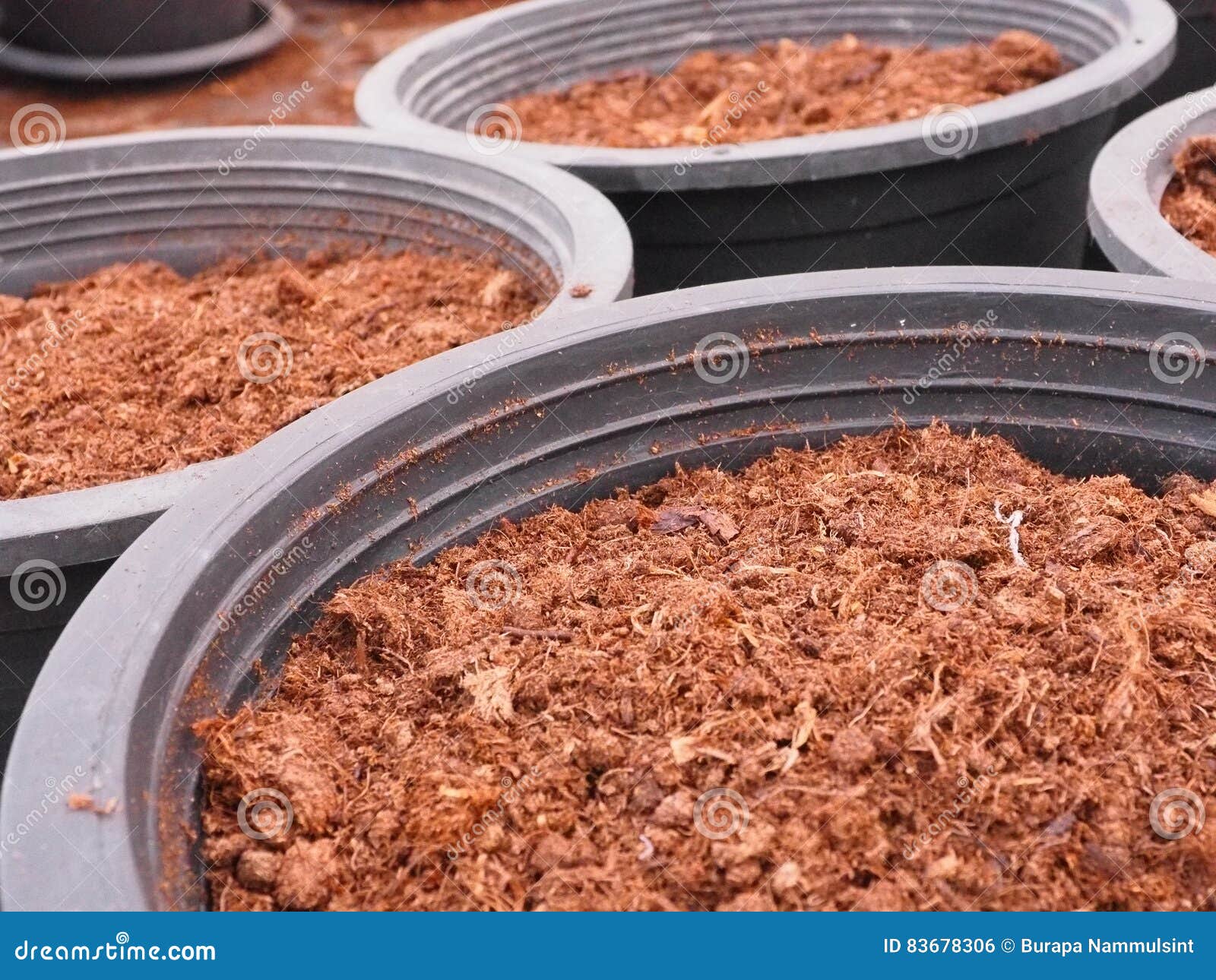 Prepare peat-moss. stock photo. Image of soil, pots, brown - 83678306