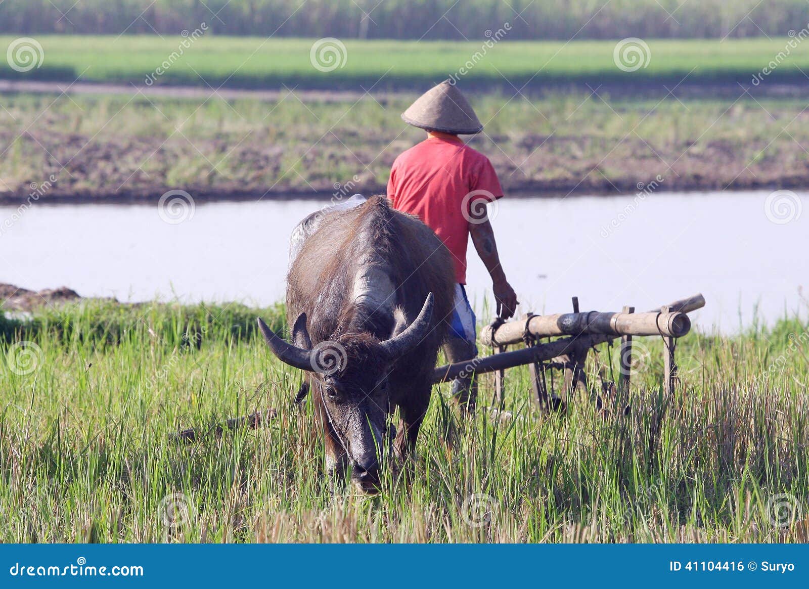 Prepare to plow editorial photo. Image of fields, central - 41104416