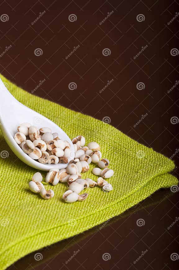 Prepared chinese barley stock image. Image of exotic - 37047265