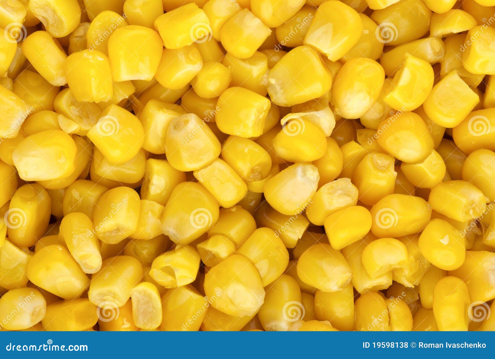 Prepared corn grains stock photo. Image of prepared, vegetable - 19598138