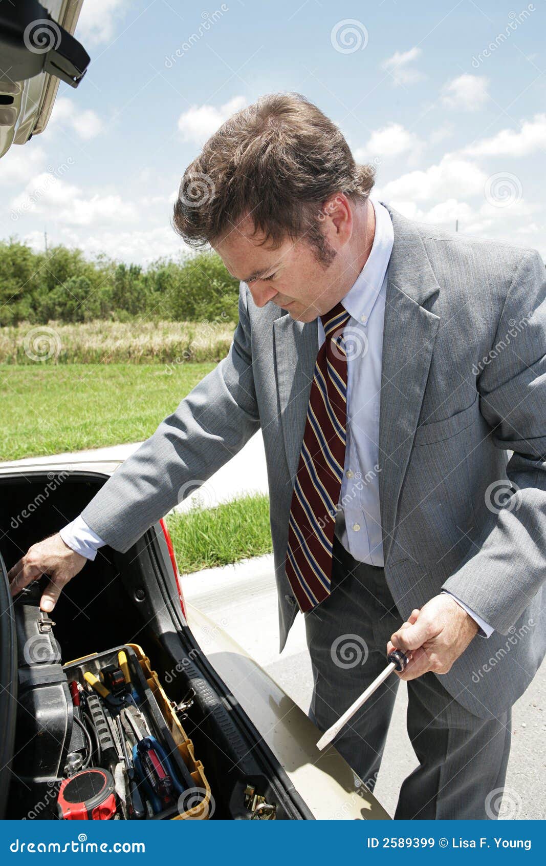 Prepared Motorist stock image. Image of blacktop, auto - 2589399