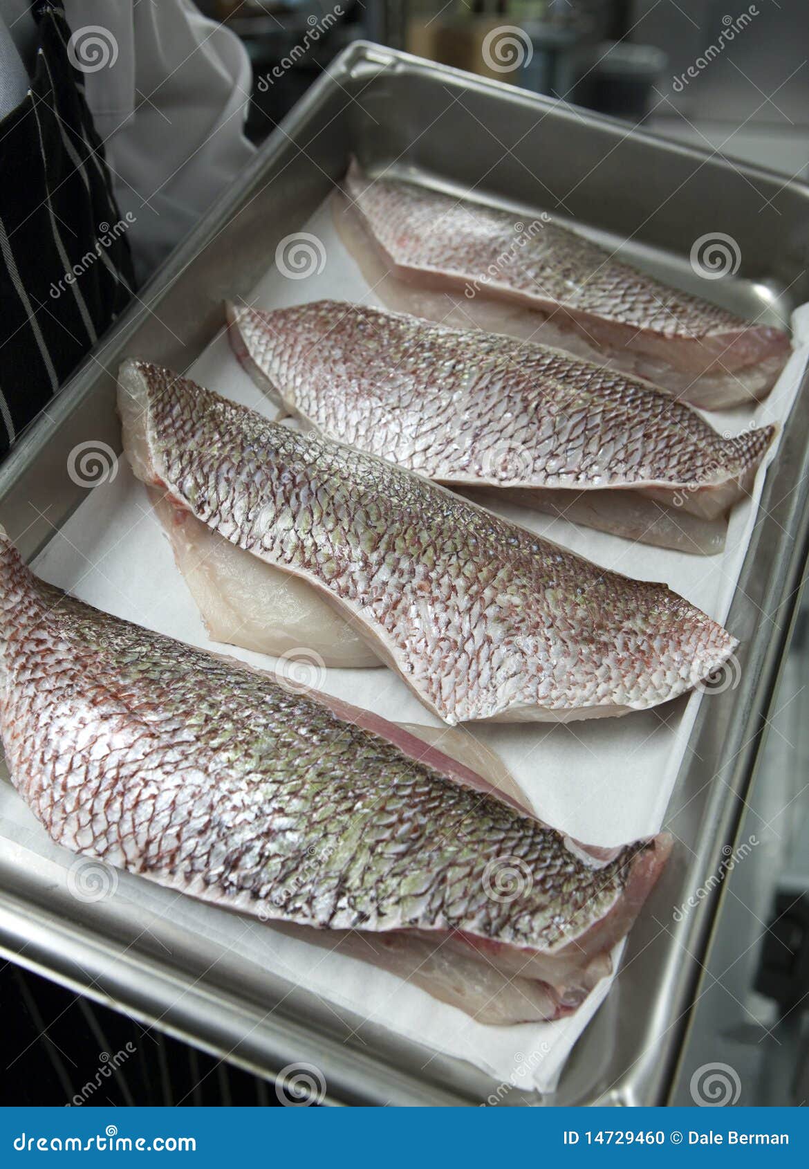 Prepared Raw Fish Falays stock photo. Image of seafood - 14729460