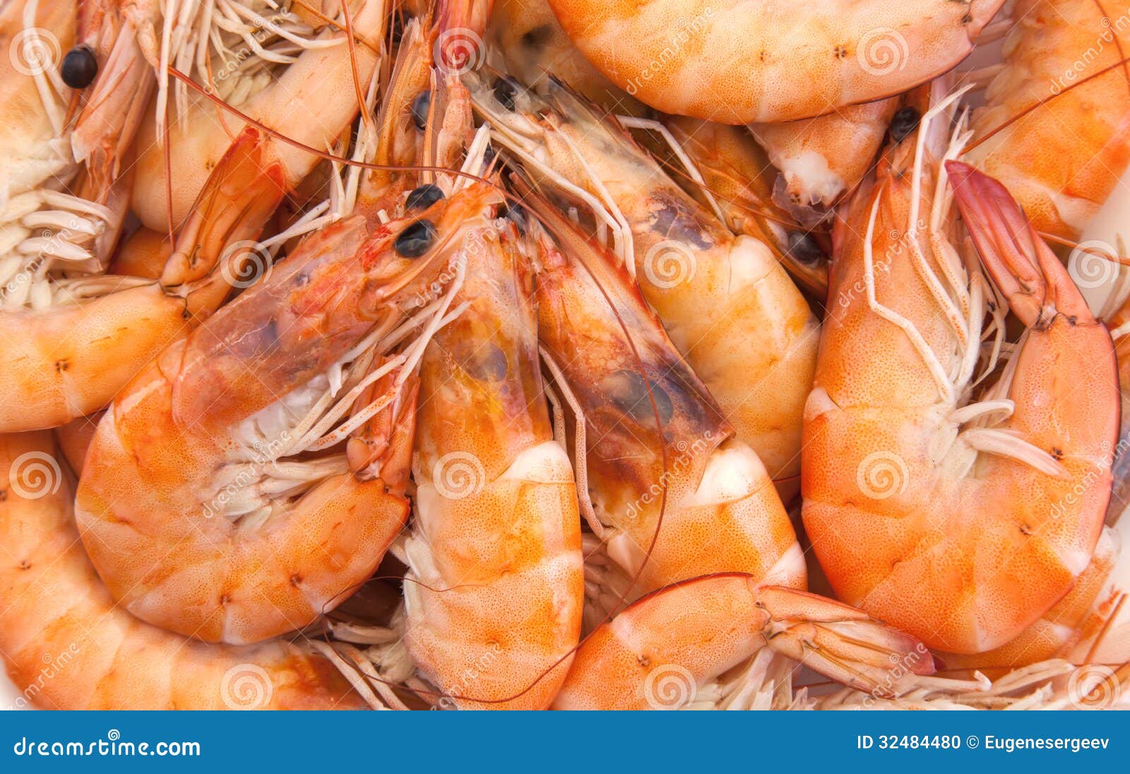 Prepared scrimps stock photo. Image of dish, macro, crustacean - 32484480