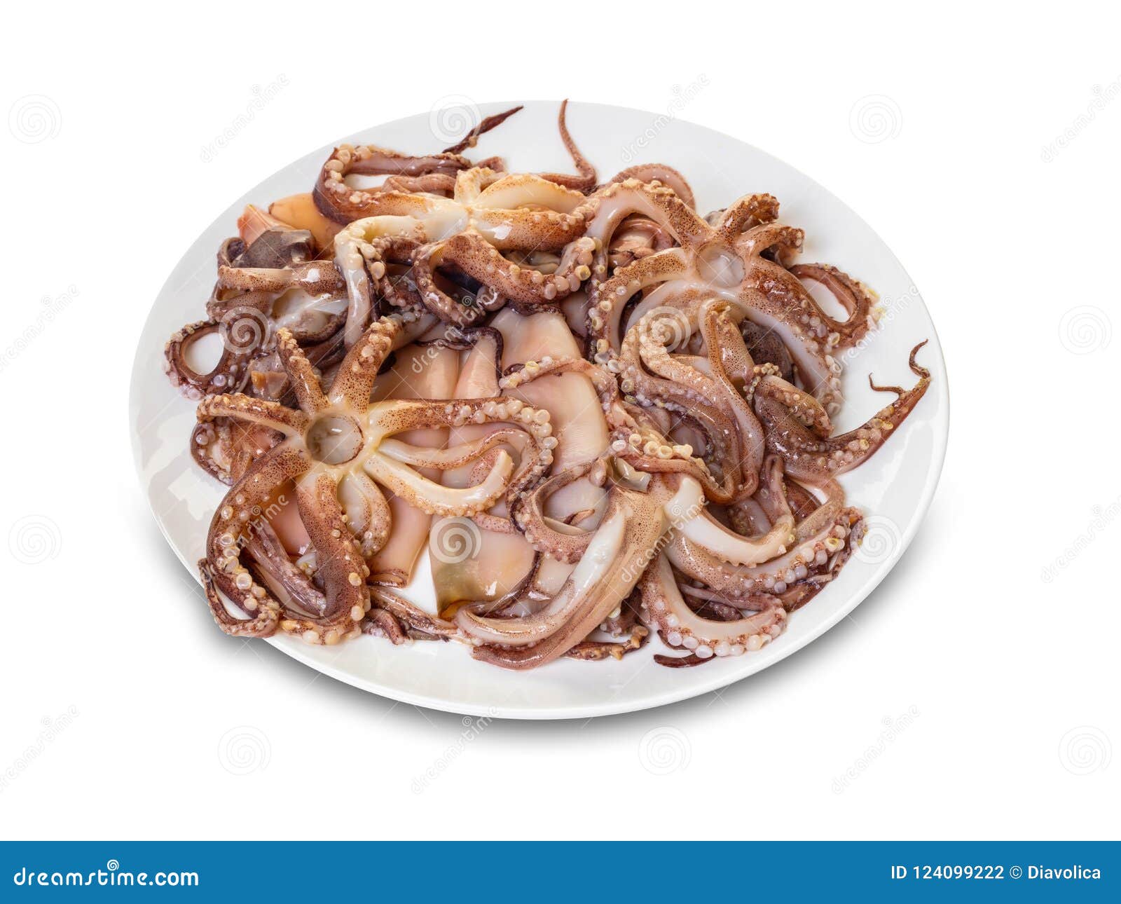 Prepared squid in a plate stock photo. Image of calamari - 124099222