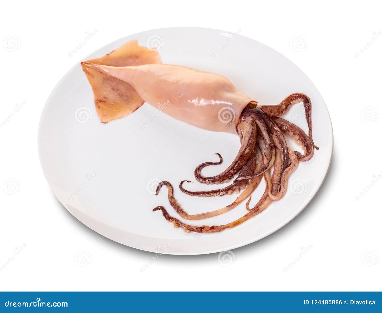 Prepared squid in a plate stock photo. Image of animal - 124485886