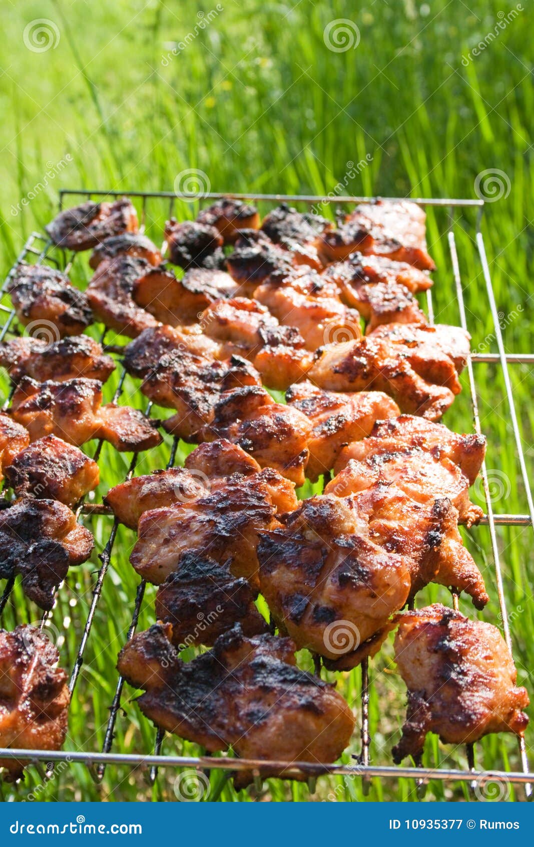 The Prepared Tasty Meat in Lattice Stock Image - Image of beef, roast ...