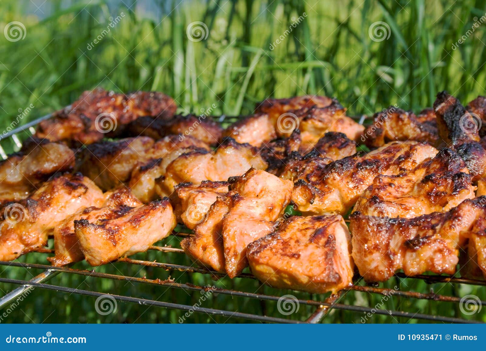 The Prepared Tasty Meat in Lattice Stock Image - Image of skewers ...