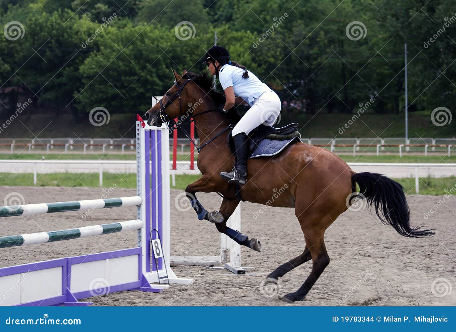 Prepares To Jump Over the Barrier Editorial Stock Image - Image of jump ...