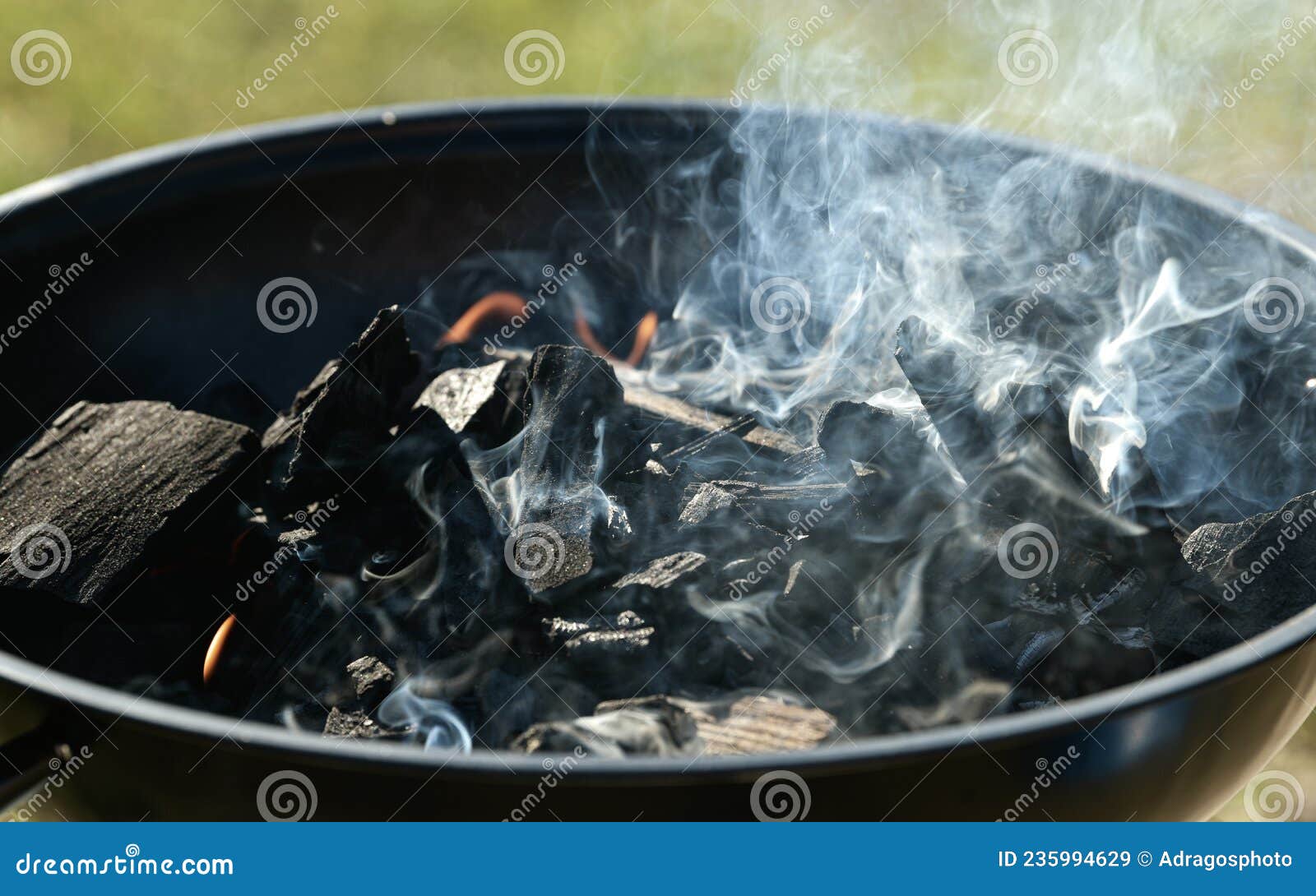 Preparing the Barbecue and Setting on the Fire. Stock Image - Image of ...
