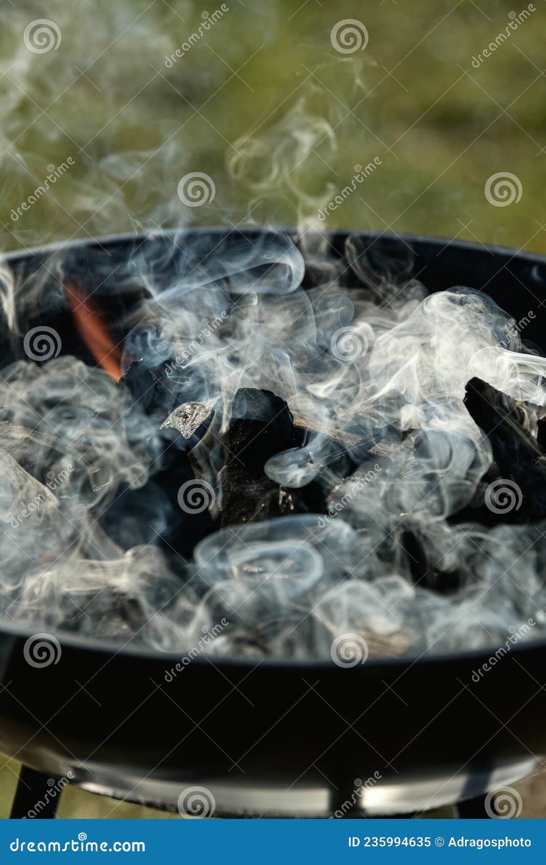 Preparing the Barbecue and Setting on the Fire. Stock Image - Image of ...